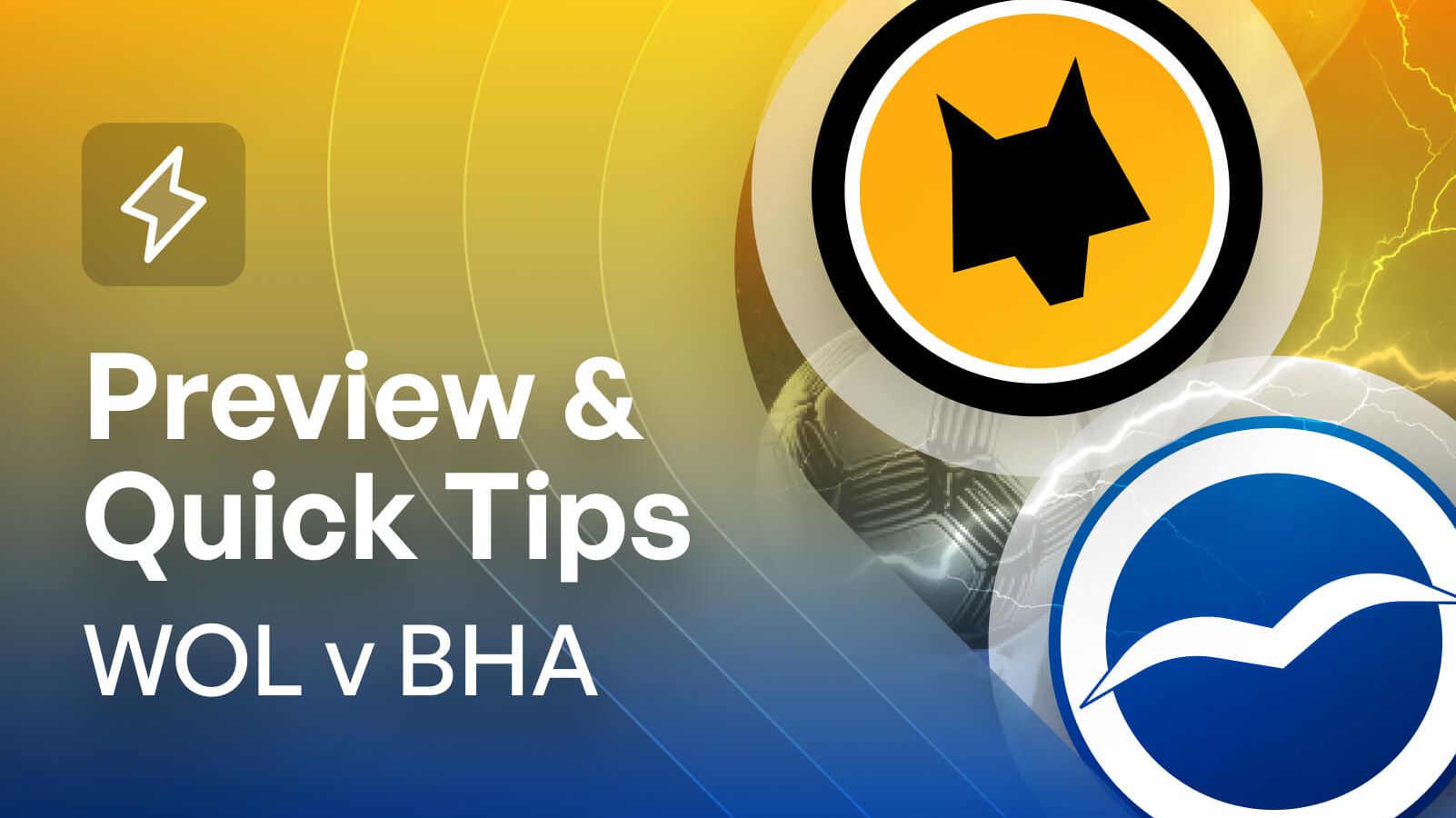 Wolves v Brighton Quick Tips Preview